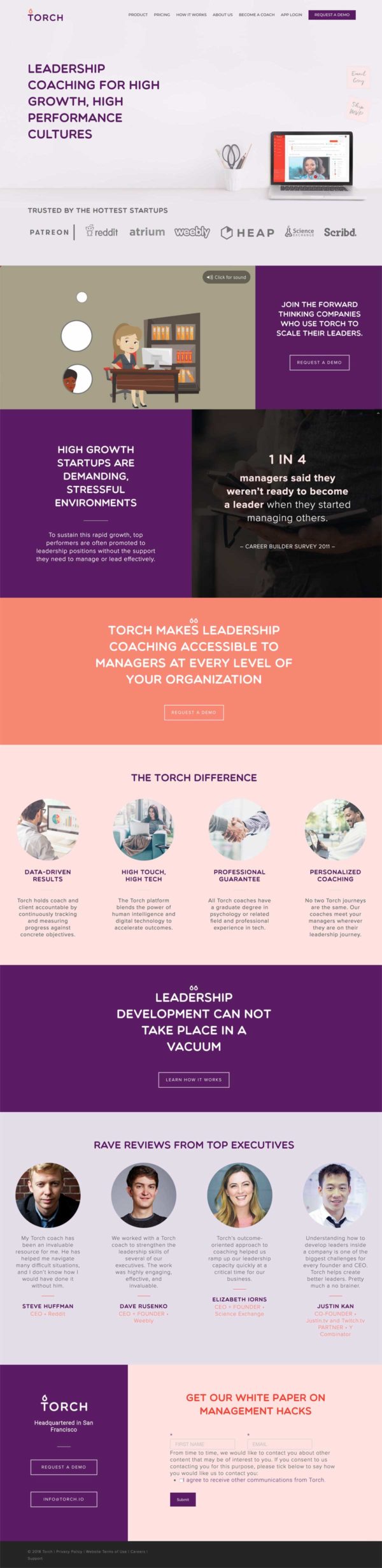 Torch Executive Coaching — Business Website Design Portfolio