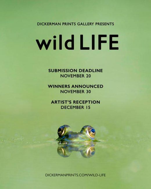 Dickerman Prints Photo Lab » GOODMAN CREATIVES